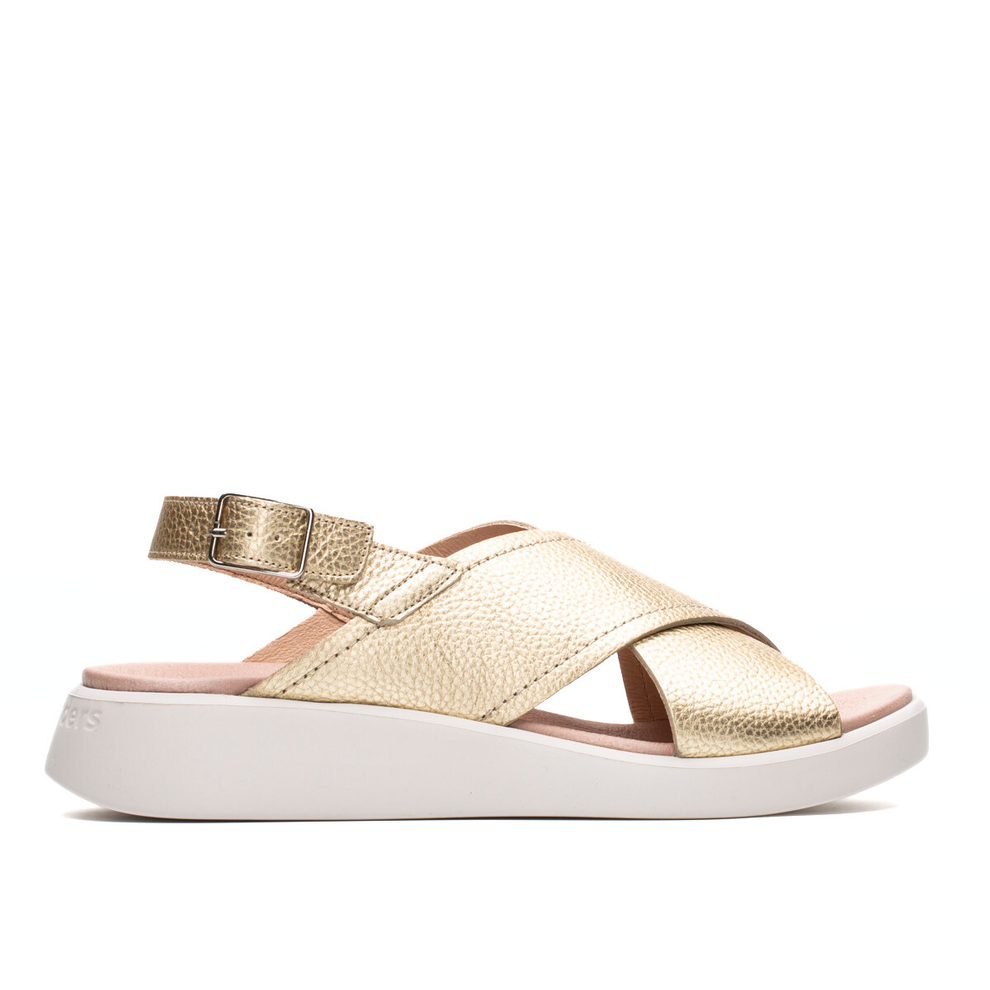 CALALUNA - Platinum – Step Ahead Shoes
